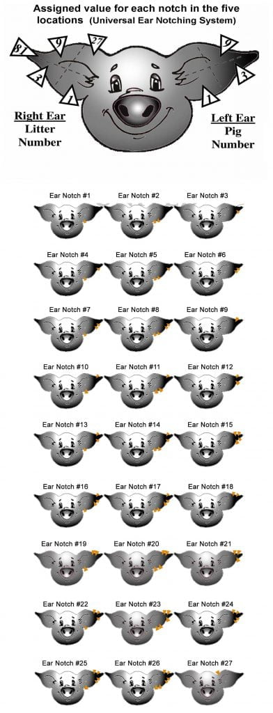 Ear Notch Chart - lbpbu.com
